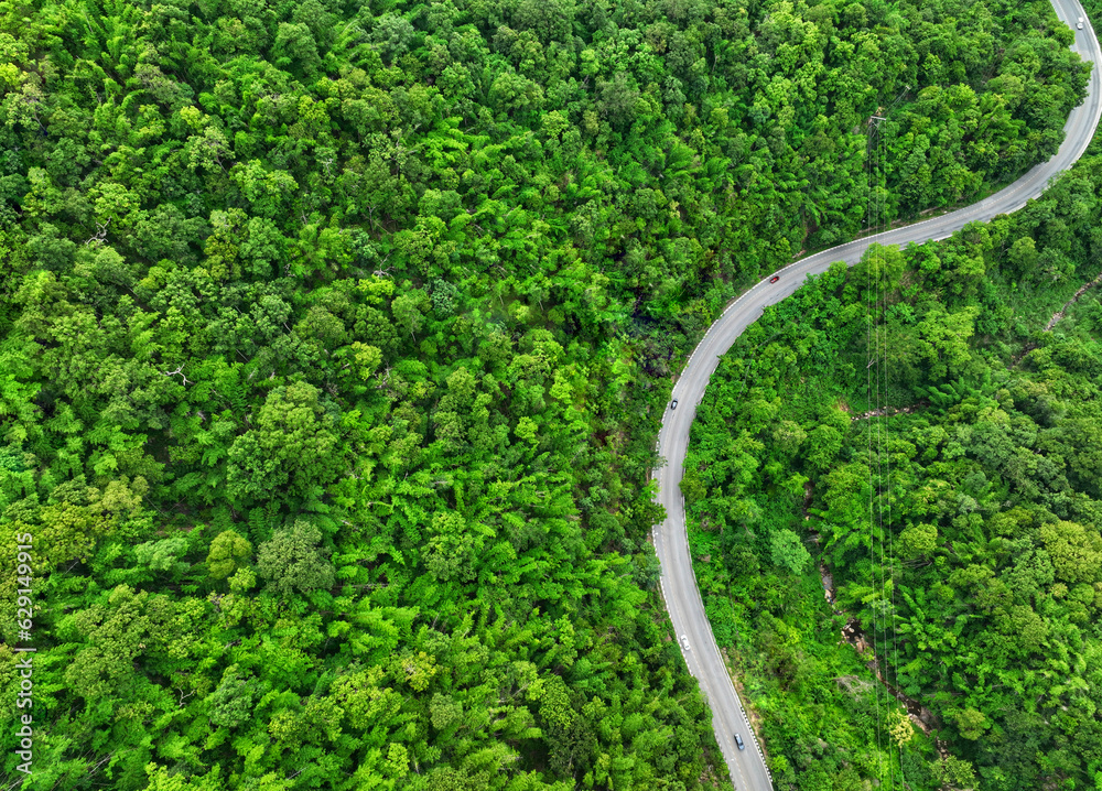 Road in the middle of the forest , road curve construction up to ...