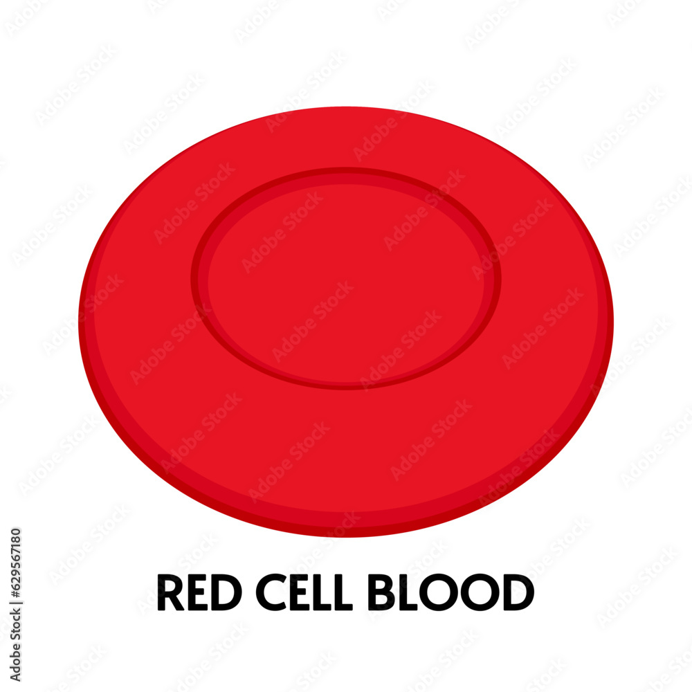 Red Blood cell cartoon vector. Red Blood cell on white background ...