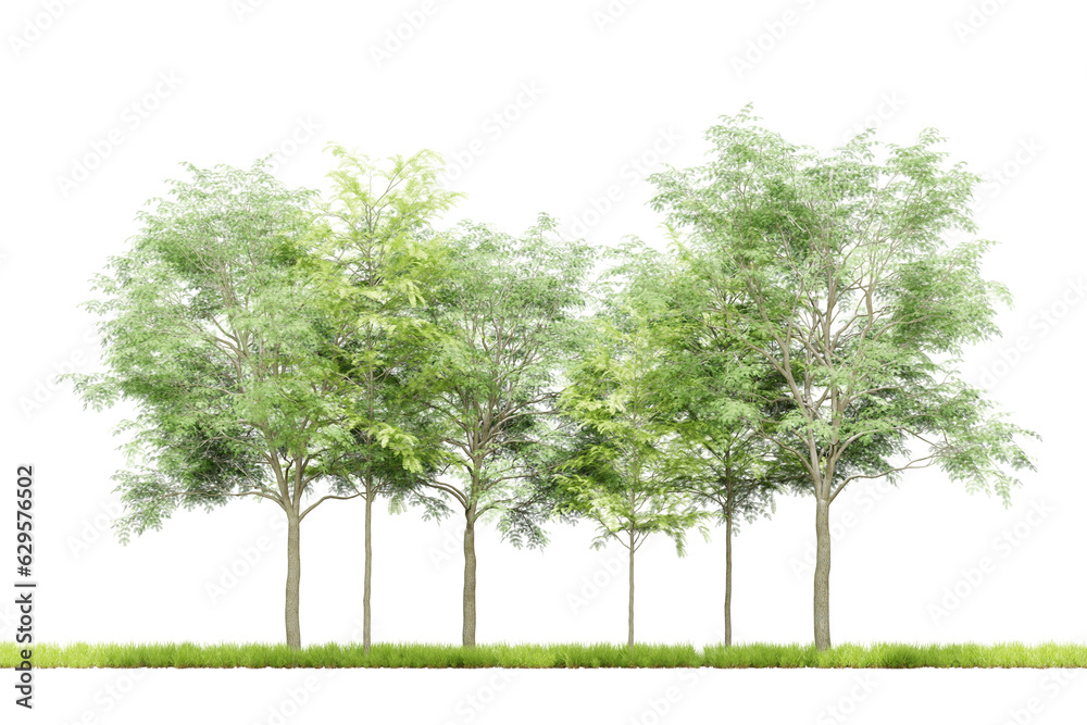 Cutout of green trees on transparent background, png plant, 3d render ...