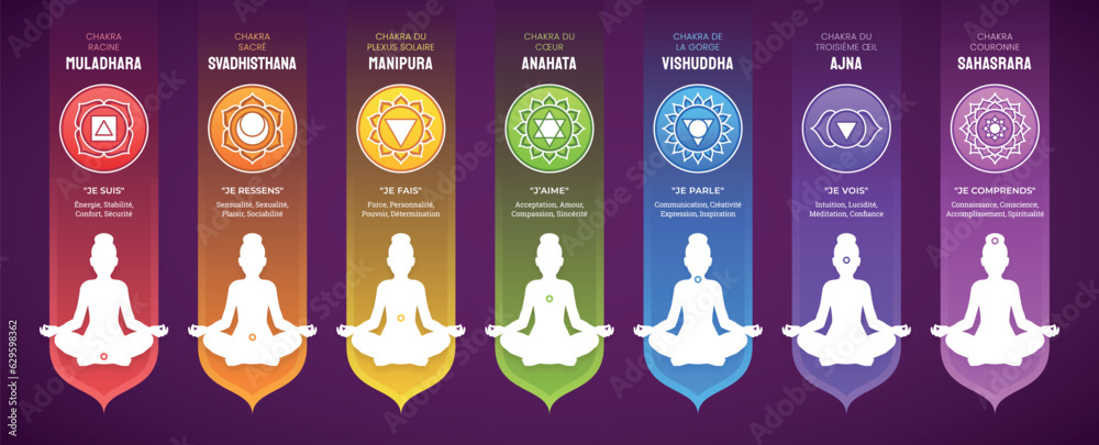 Les Sept Chakras et leurs significations Stock Vector | Adobe Stock