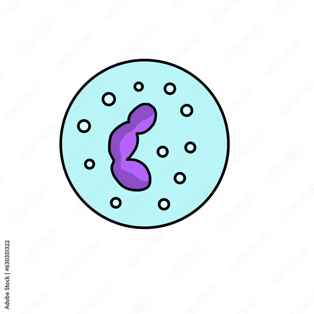 Cell Differentiating Science Illustration Drawing Educational Stock ...