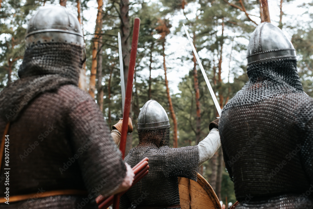 Back view of the knights going on the attack, a viking in a helmet ...