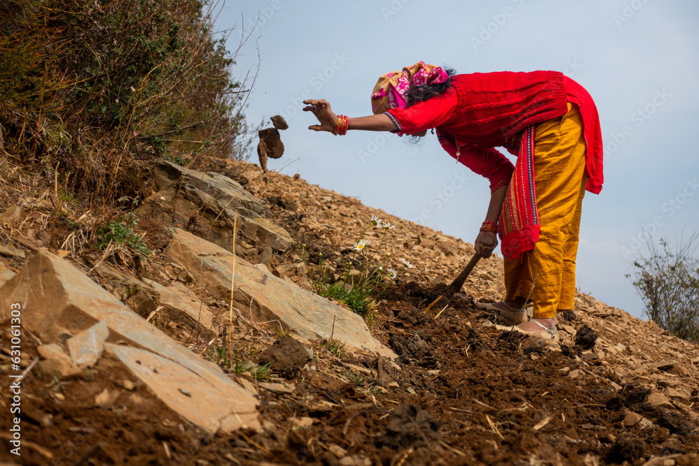 Garhwali woman in traditional attire tending to farmland, digging and ...