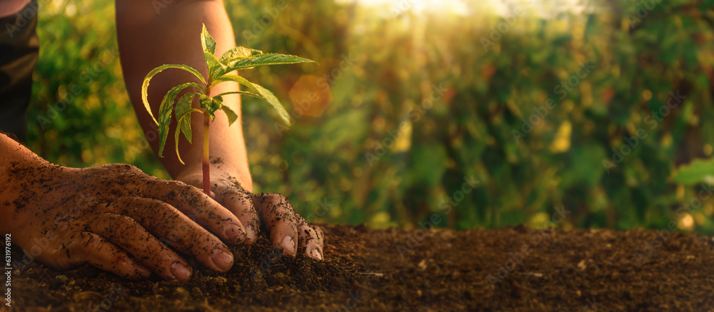 Reduce CO2 emission concept. Hand Planting trees and nature. Global ...