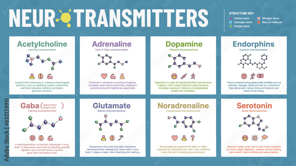 Neurotransmitters All Six Hormone Acetylcholine Adrenaline Dopamine Neurotransmitters All Six Hormone Acetylcholine Adrenaline Dopamine