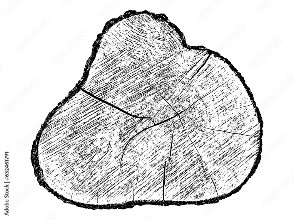 Wood texture cross section of tree rings. Cut slice of wooden stump ...