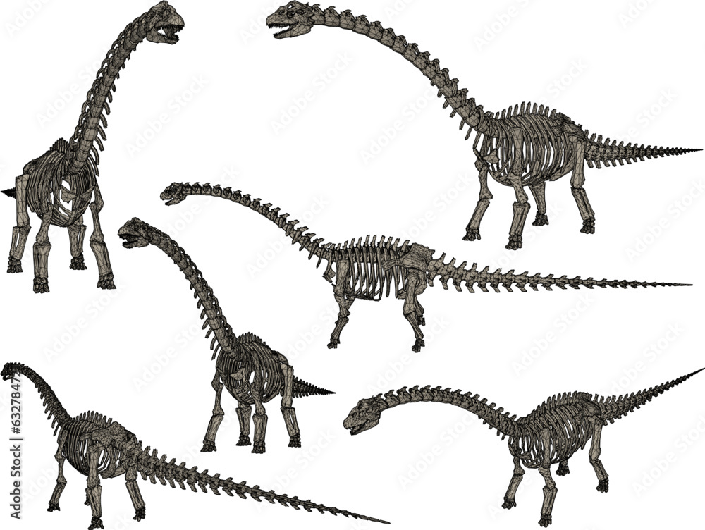 Vector sketch illustration of the skeletal structure of a prehistoric ...