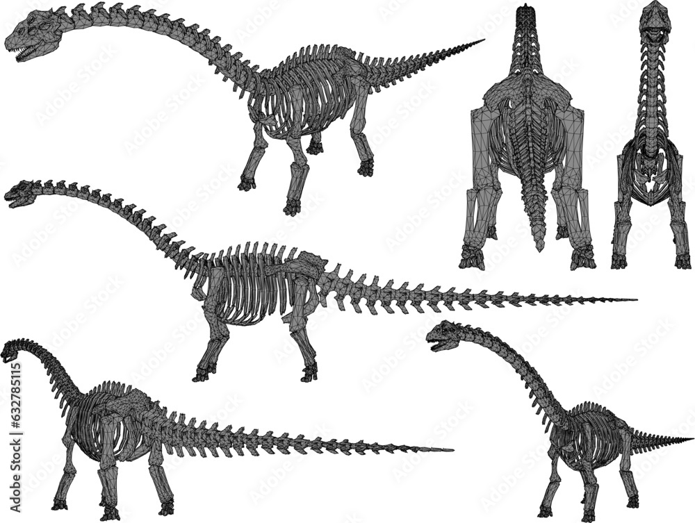 Vector sketch illustration of the skeletal structure of a prehistoric brontosaurus dinosaur ...