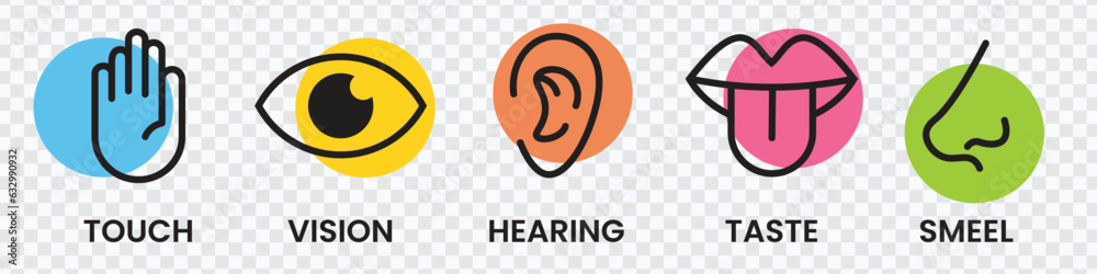 Human sense icons. Five human senses icons. Vision smell hearing touch ...