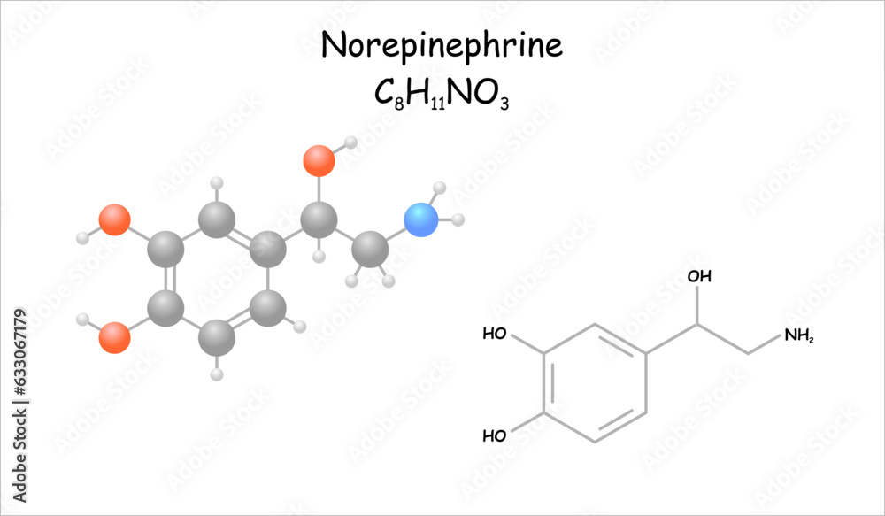 Norepinephrine. Simplified molecule model and structural formual. Stock ...