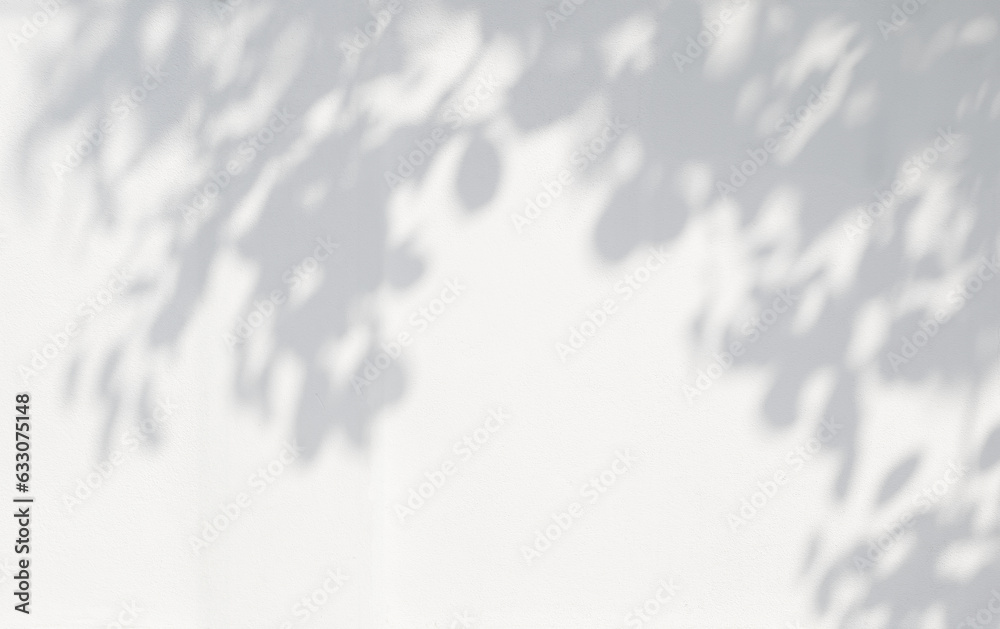 Shadow and sunshine of leaf reflection. Jungle leaves tree gray ...