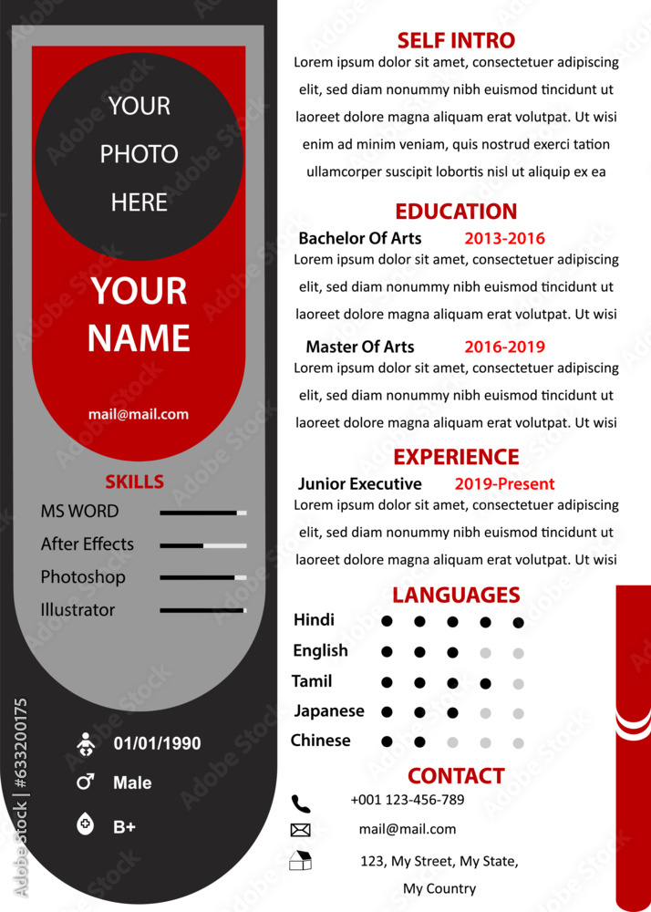 Stylish Elegant Modern Resume Design CV Biodata Design Fully ...