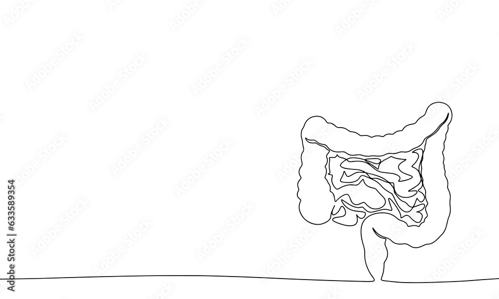 One line continuous intestines. Line art health banner concept. Hand ...