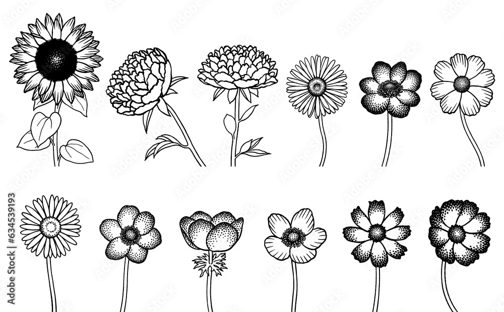 Hand-drawn flower illustration set isolated on transparent background ...