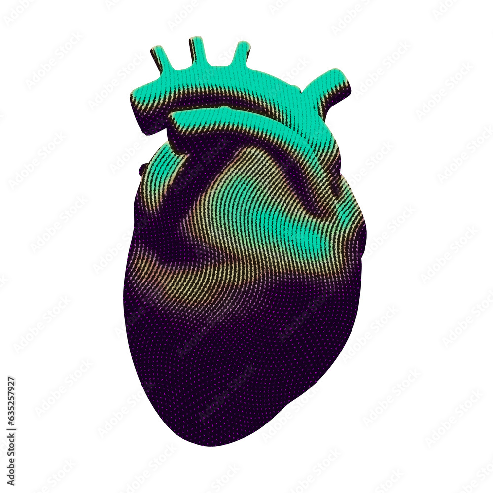 Antique medical scientific illustration high-resolution heart Stock ...