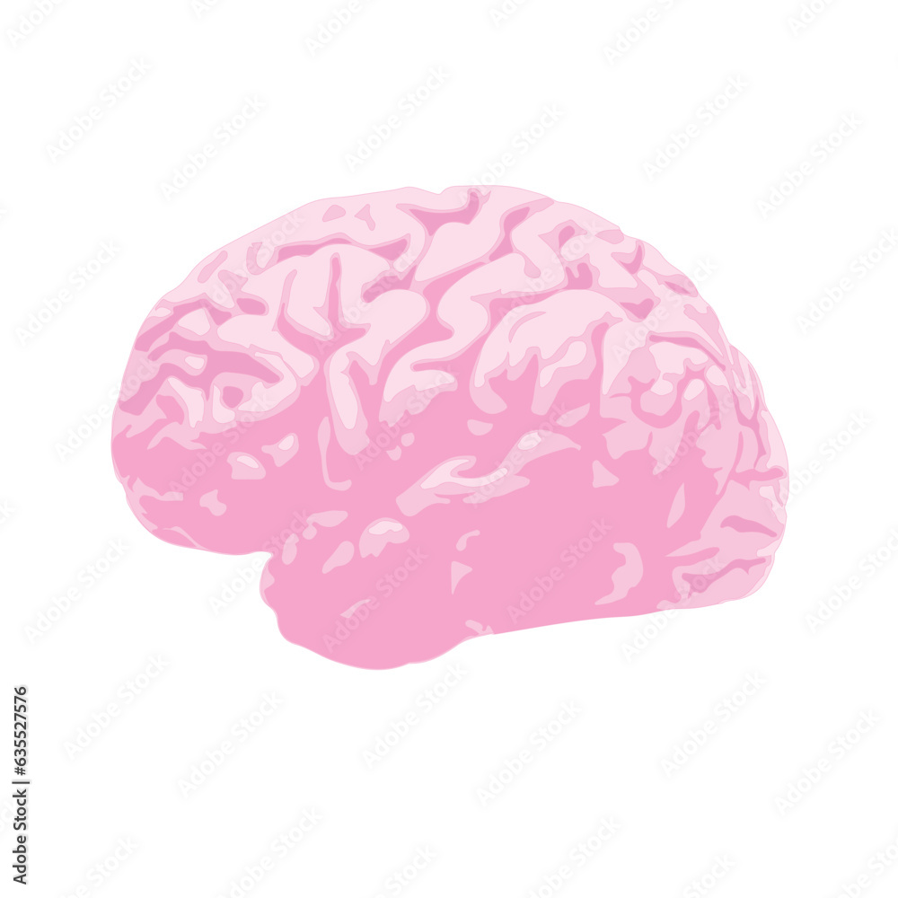 Human brain. Internal organ, anatomy. Vector cartoon flat icon ...