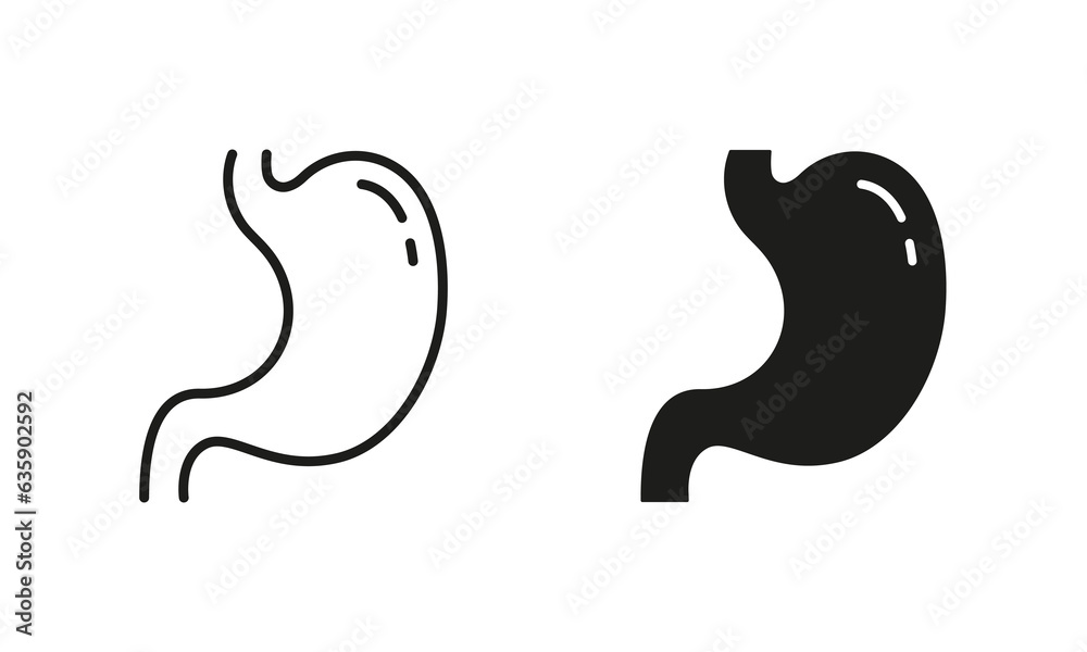 Health Digestive System Line and Silhouette Icon Set. Gastric Internal ...