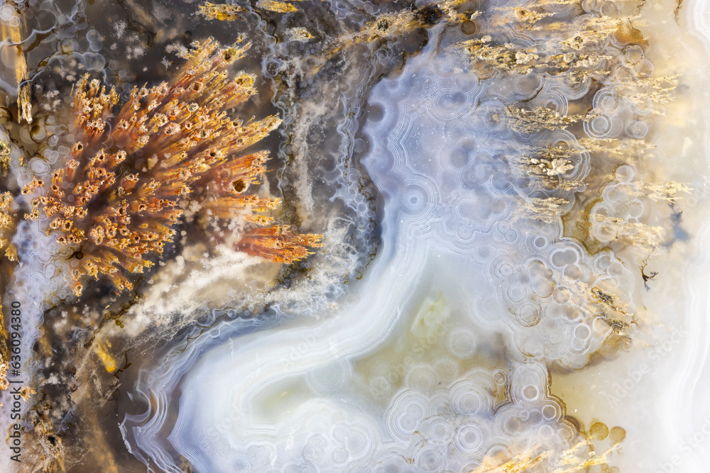 Dendritic Agate Slice Texture Stock Photo | Adobe Stock