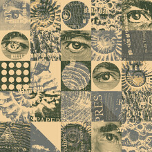 Ammonite Eye Free Stock Photo - Public Domain Pictures