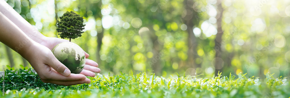 Photo Stock sustainable environment concept Human hand holding green ...