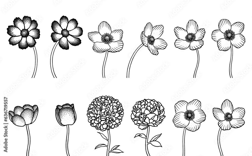 Hand-drawn flower illustration set isolated on transparent background ...