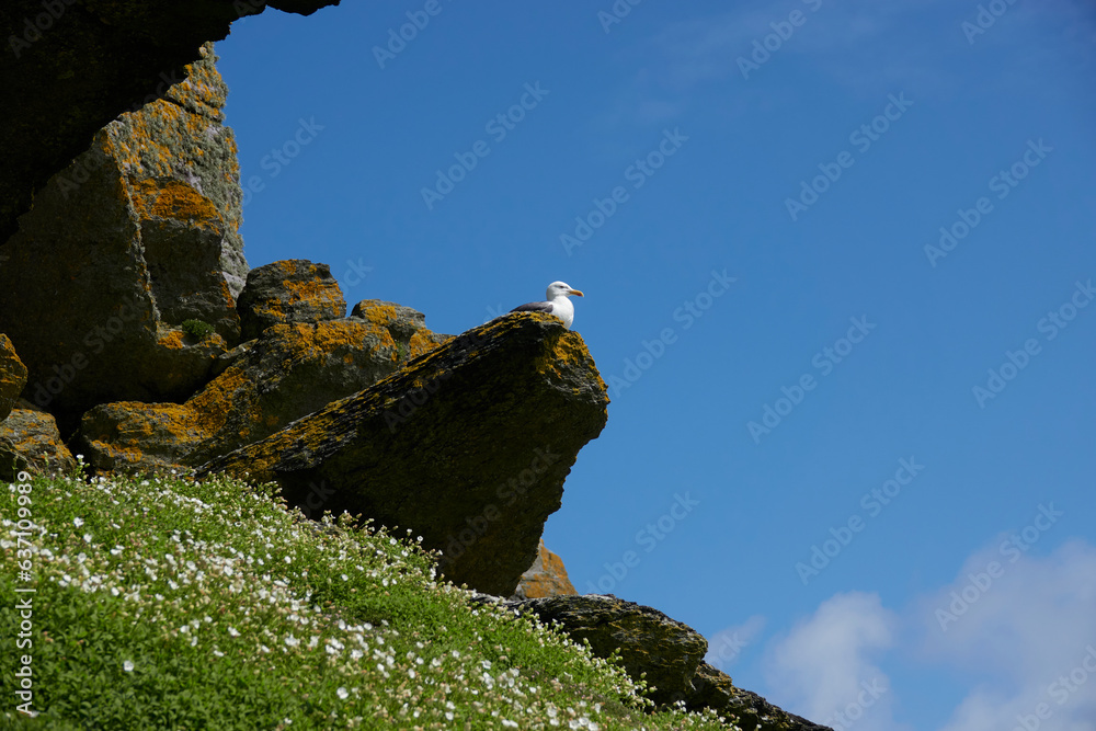 Skellig Michael Monastery (Skellig Michael: Home of Luke Skywalker in ...