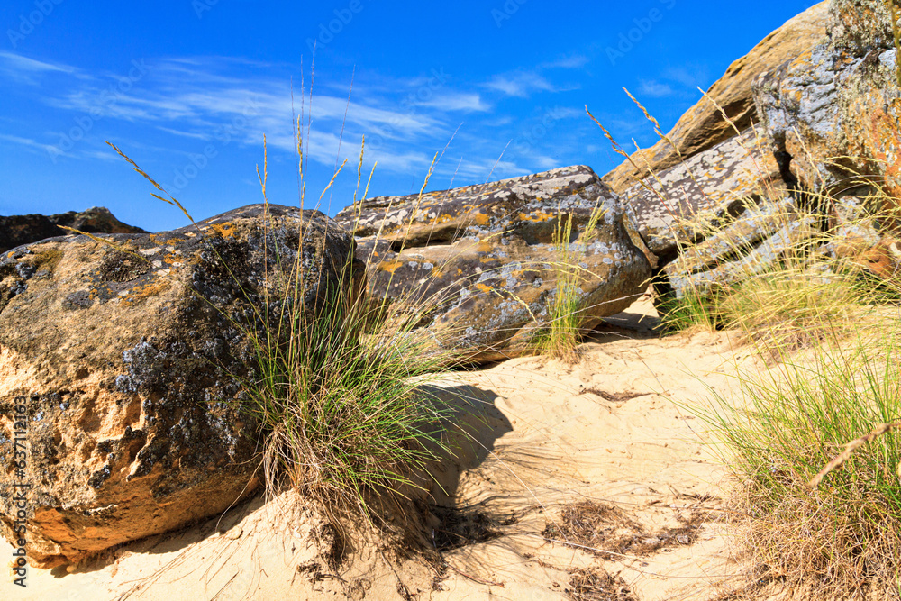 Natural landscape - a view of an array of sandstone, a fragment of the ...