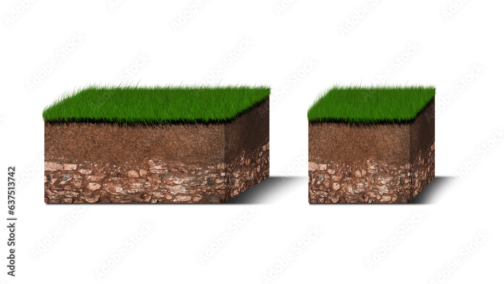 Isometric Soil Layers diagram, Cross section of green grass and ...