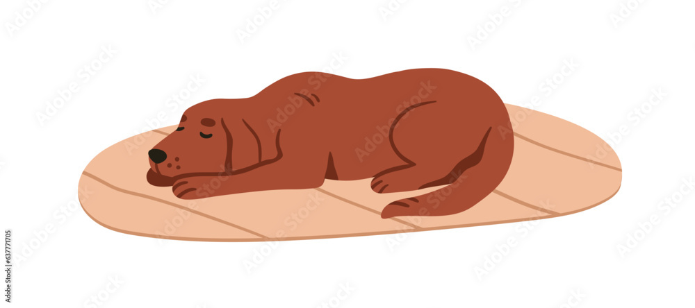 Cute dog sleeping, lying on carpet at home. Lovely adorable doggy pet ...