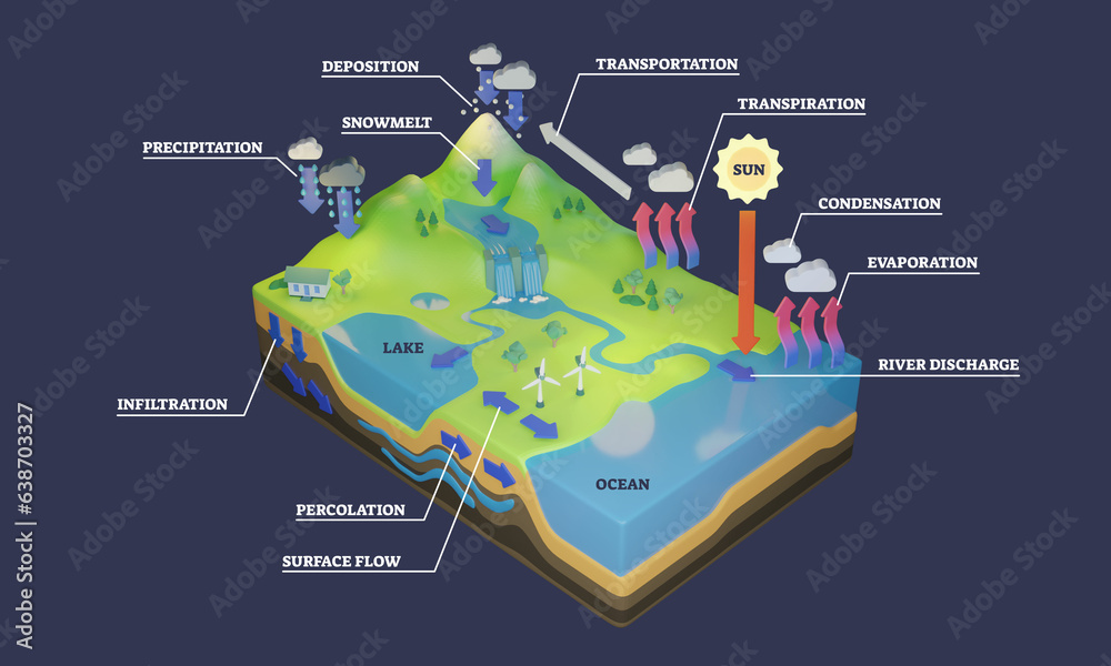 Water cycle diagram with rain flow circulation and in 3D illustration ...