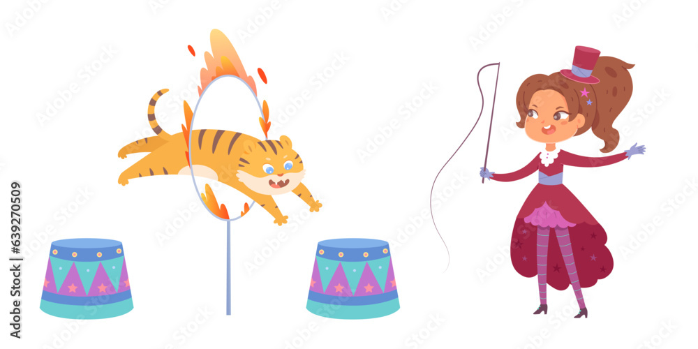 Circus performance of tiger jumping through ring with fire and trainer ...