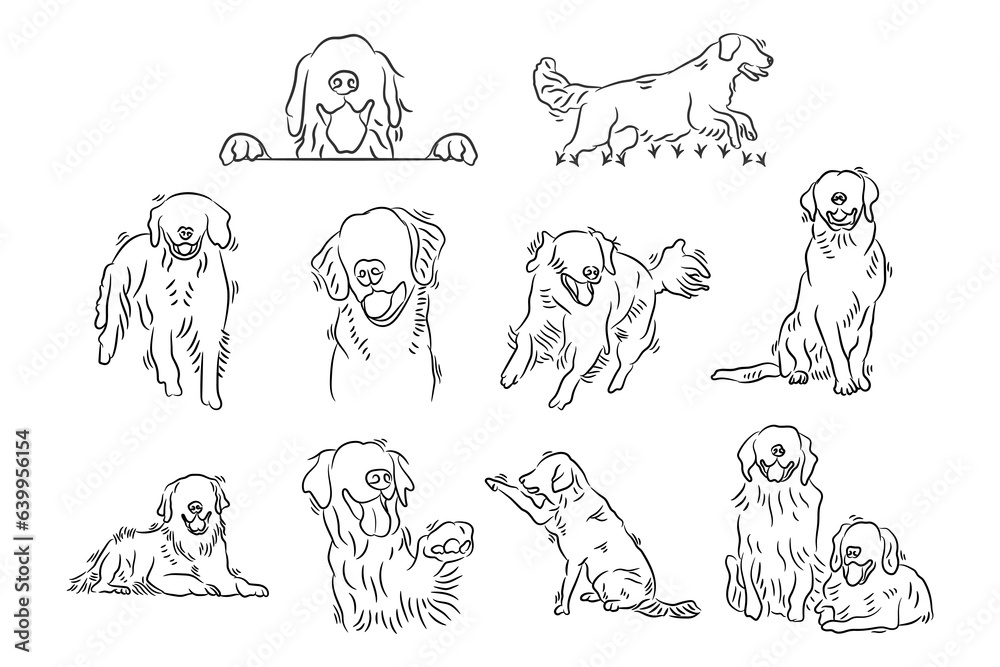Set of golden retriever dogs hand drawn line art. Outline sketch doodle ...