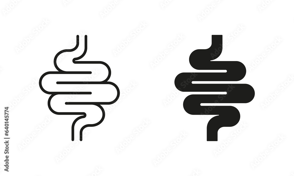 Intestine Line and Silhouette Icon Set. Gastrointestinal Inflammation ...