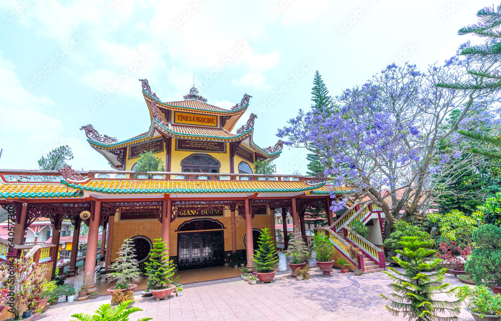 Da Lat, Vietnam - April 11th, 2023: Jacaranda tree blooming season in ...