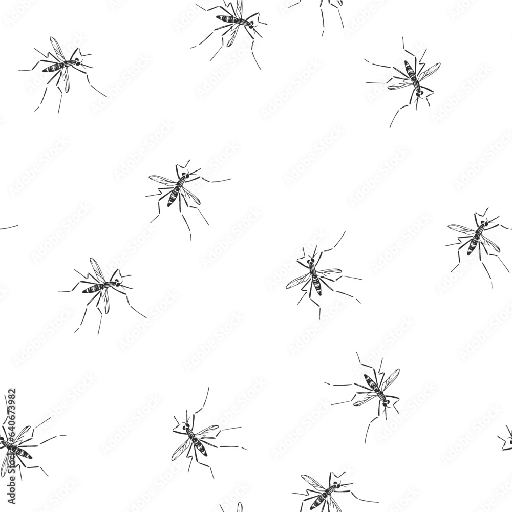 Vector seamless pattern with hand-drawn mosquitos isolated on white ...