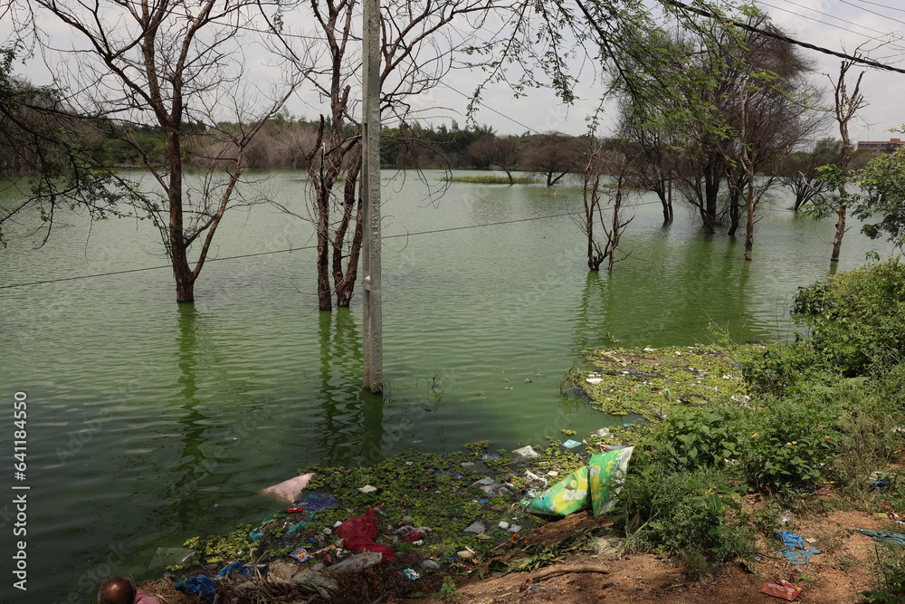 Lal Talab Lake in Medchal of Telangana in India was the lifeline of ...