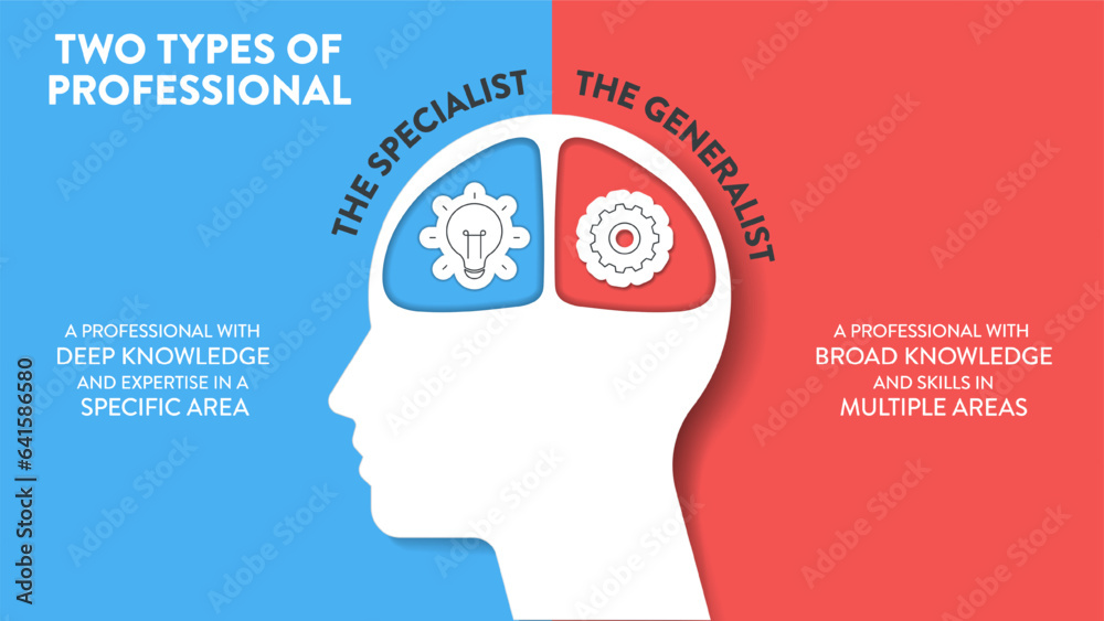 Two types of professional model framework infographic diagram with icon ...