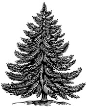 Linocut Trees In Winter Free Stock Photo - Public Domain Pictures