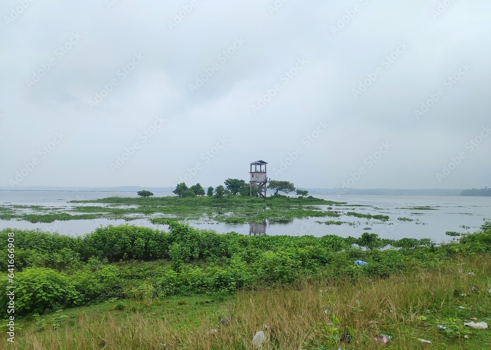 Sareswar Beel is a shallow freshwater lake with abundant aquatic ...