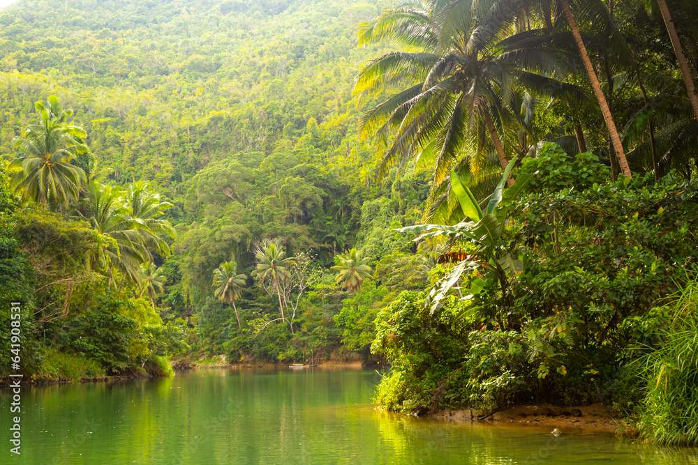 The Loboc River also called Loay River is a river in the Bohol, the ...