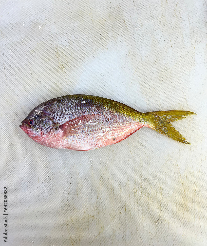fresh raw cold seafood yellowtail whole fish ikan head, fillet, meat ...