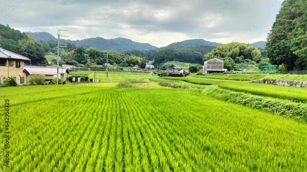 The countryside scenery, the area around Kitora Tumulus, Kitora Tumulus ...