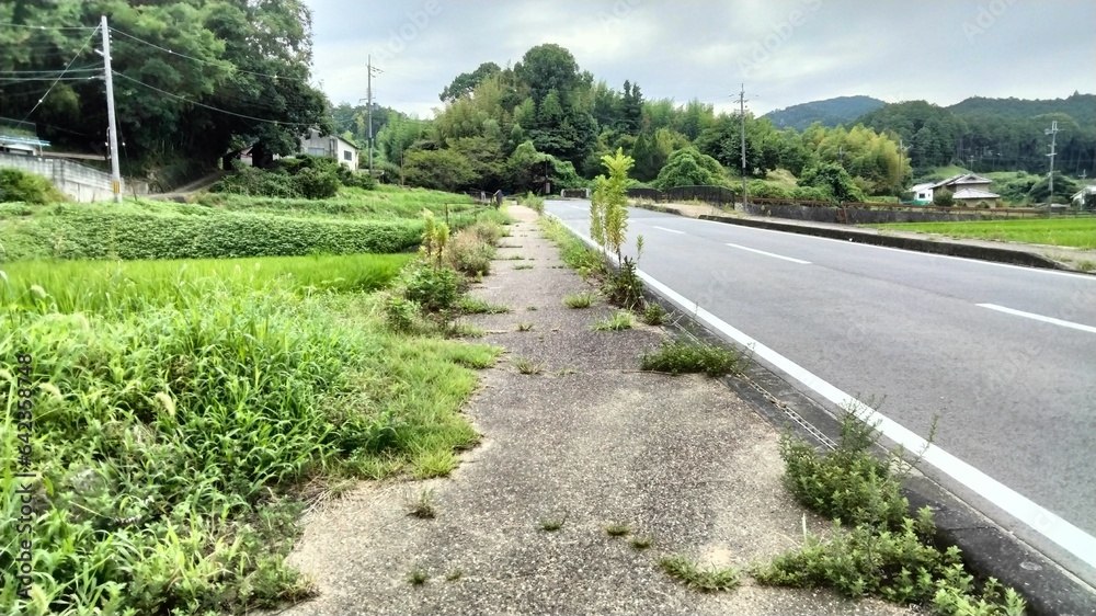The countryside scenery, the area around Kitora Tumulus, Kitora Tumulus ...