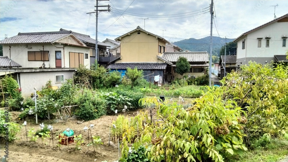 The countryside scenery, the area around Kitora Tumulus, Kitora Tumulus ...
