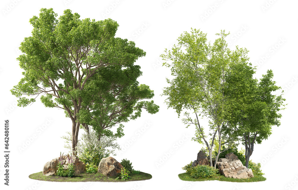 Group of trees among the rocks. Cutout trees isolated on transparent ...