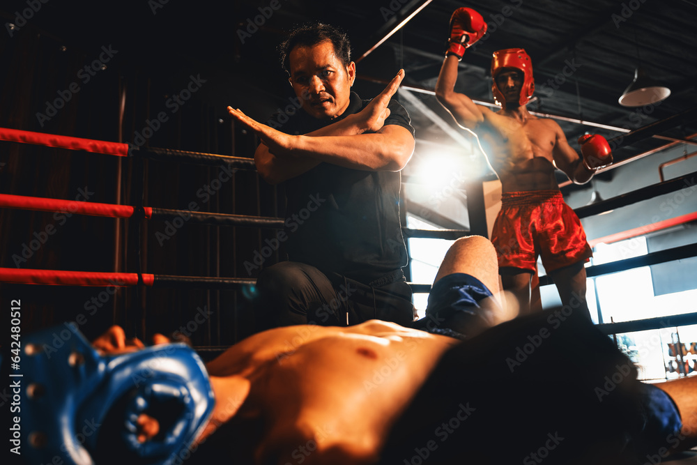 Boxing referee intervene, halting the fight to check fallen competitor ...