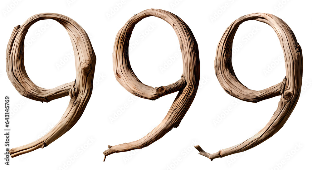 number 9 made of old creepy tree branches. for title of horror movie ...