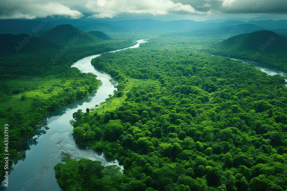 Aerial view of the Amazon rainforest landscape with a river bend and a ...