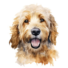 Golden Doodle Portrait Art Print Free Stock Photo - Public Domain Pictures
