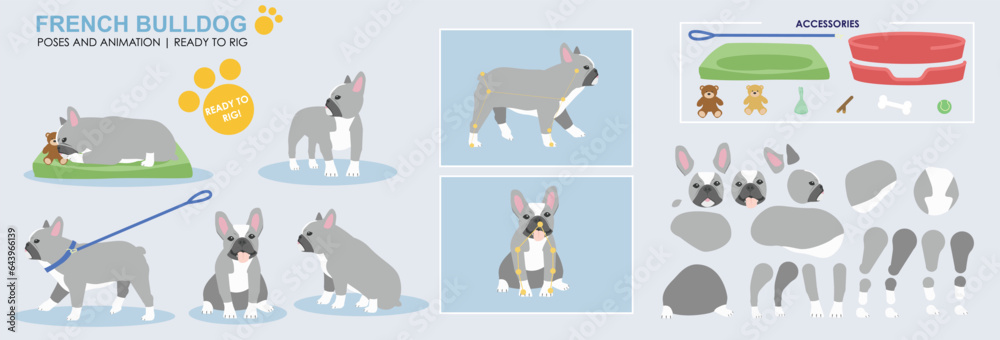 Cute Grey and white french bull dog vector collection of poses with ...